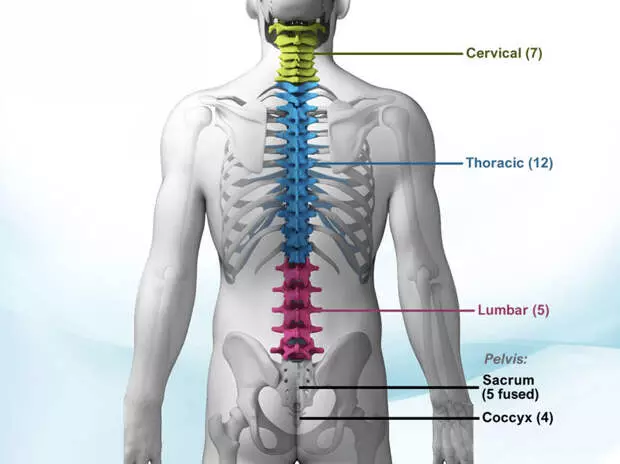 Ние го третираме 'рбетот: Вежби за остеохондроза