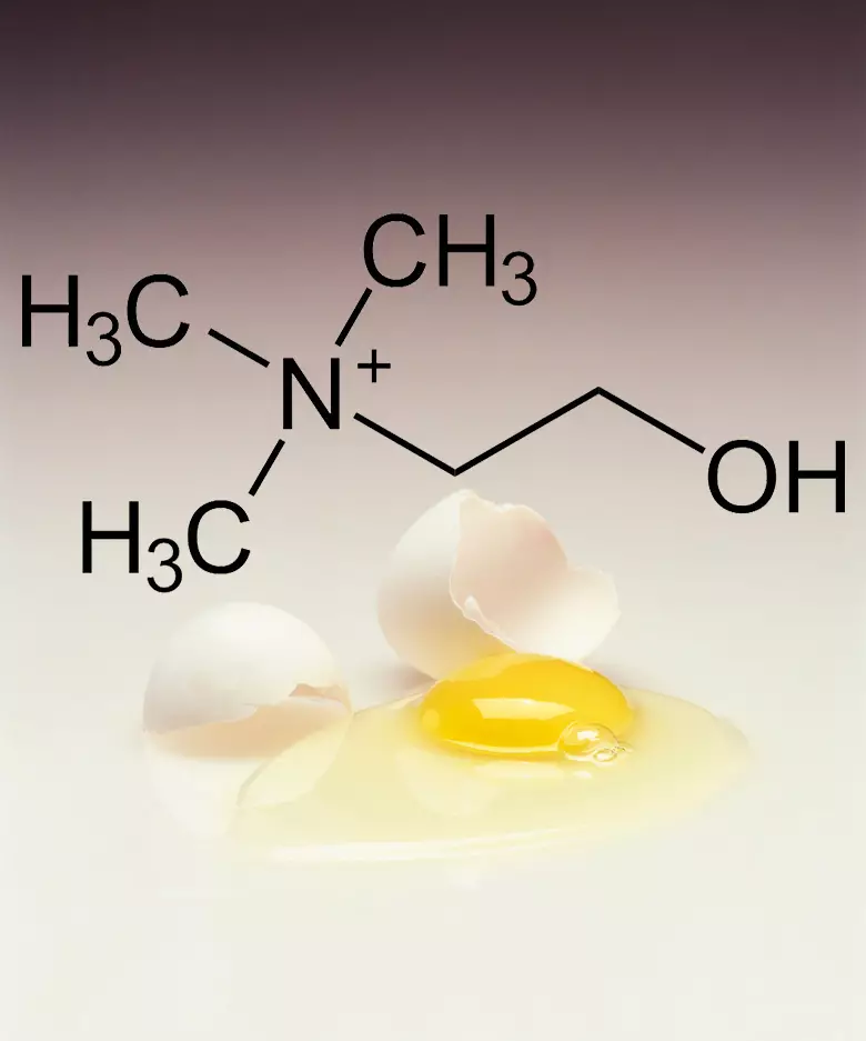 Choline Hanfodol: Ffynonellau Gorau Fitamin B4