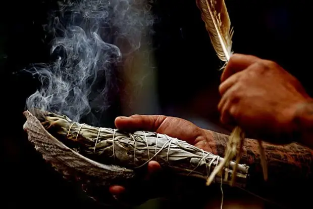 Shaman's Tips: How to Use Herbs to Improve Your Own Life