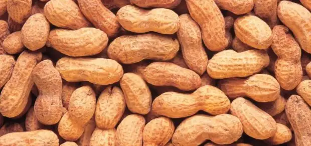 Erdnüsse: Essen, Nutzen und potenzieller Schaden