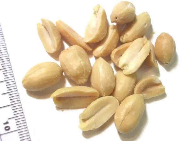 Erdnüsse zum Abnehmen – geht das?