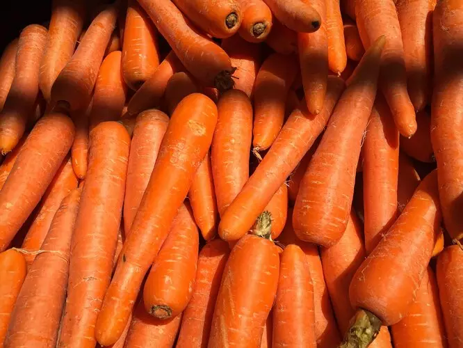 फोटो: अनस्प्लास। गाजर