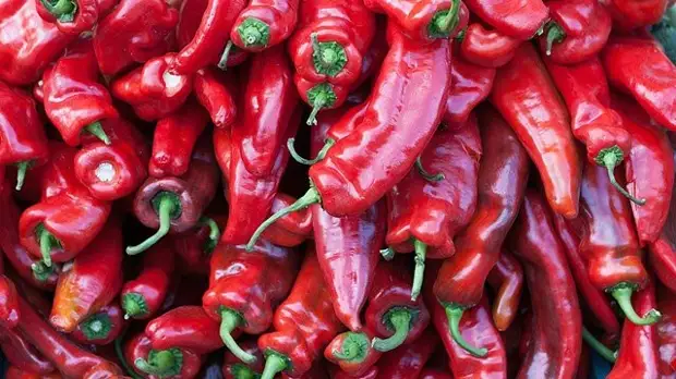 Chili Pepper Droga Kontra l-Obeżità Turi Effetti fit-Testijiet fuq l-Annimali