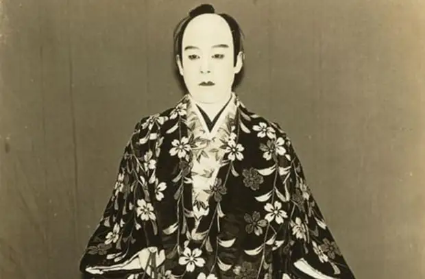 Dades curioses sobre la geisha