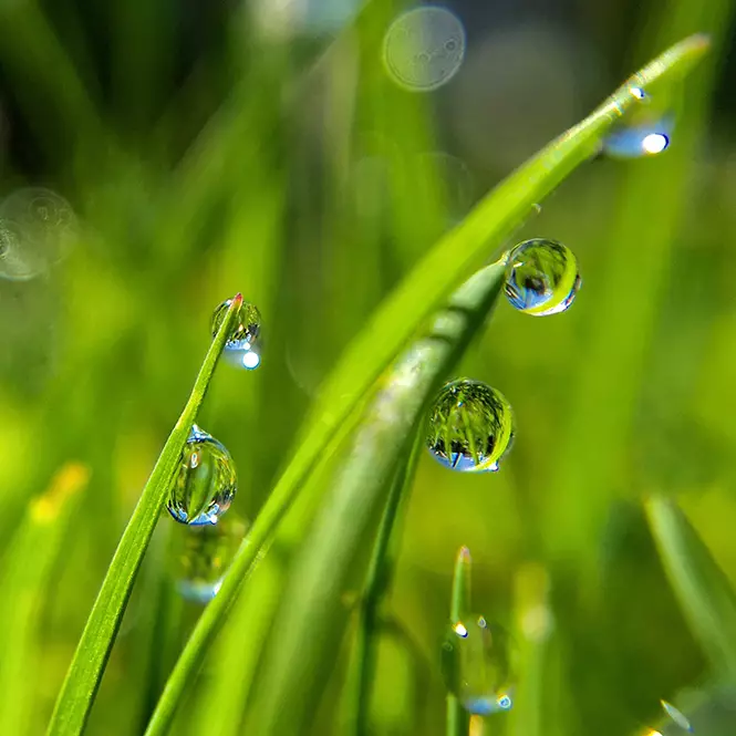 Photo #5 - L'eau comme volonté et représentation : plusieurs faits scientifiques qui vont changer votre idée de l'eau