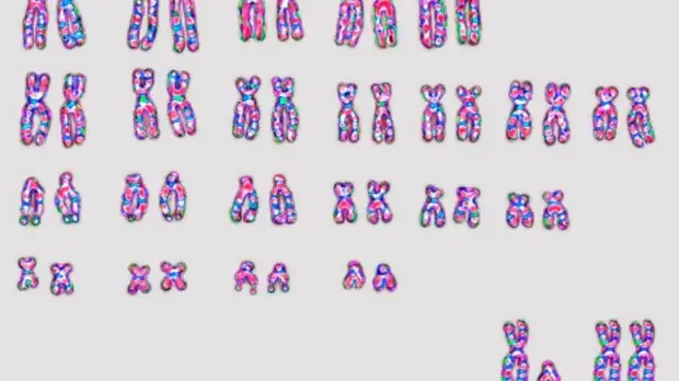 chromosome