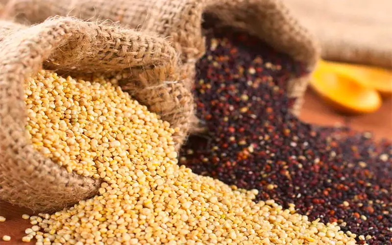 តើ quinoa ជាអ្វី?