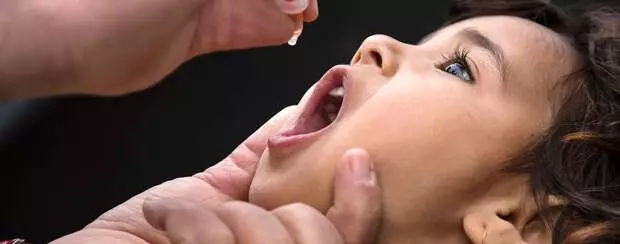 Agha pụtara polio. Otu anyị si ewepụ ọrịa na-ekwesịghị ịdị na ya ogologo oge