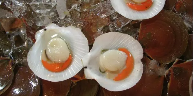 Foods dy't izer befetsje: oesters, mussels en oare skulpdieren