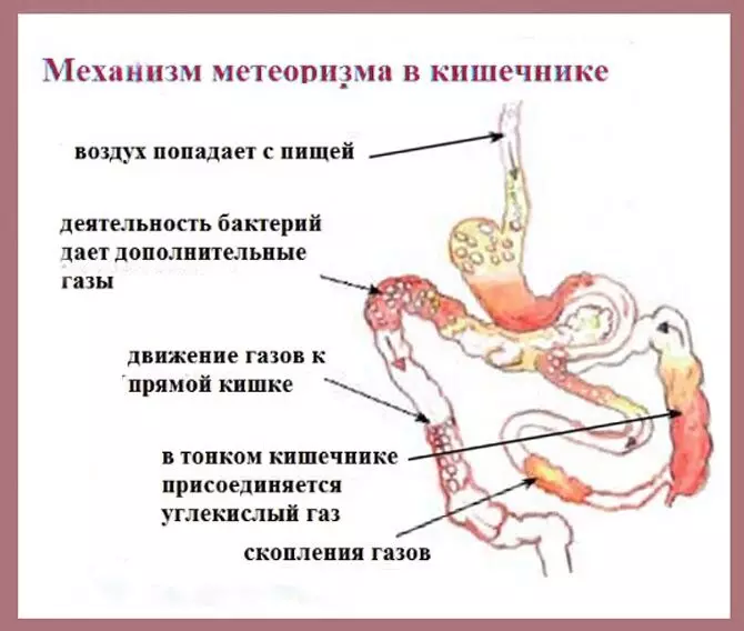 Диаграммаи зебо ва интуитивӣ