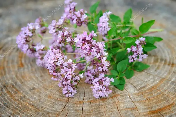 ಮೆಮೊರಿ ಸುಧಾರಿಸುವುದು ಹೇಗೆ - ಸುಲಭವಾದ ಮಾರ್ಗಗಳು