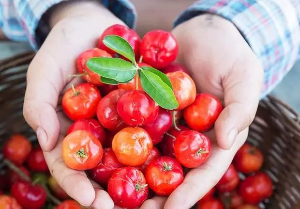 Masa untuk meningkatkan kesihatan anda: makanan apa yang perlu dicari untuk vitamin C