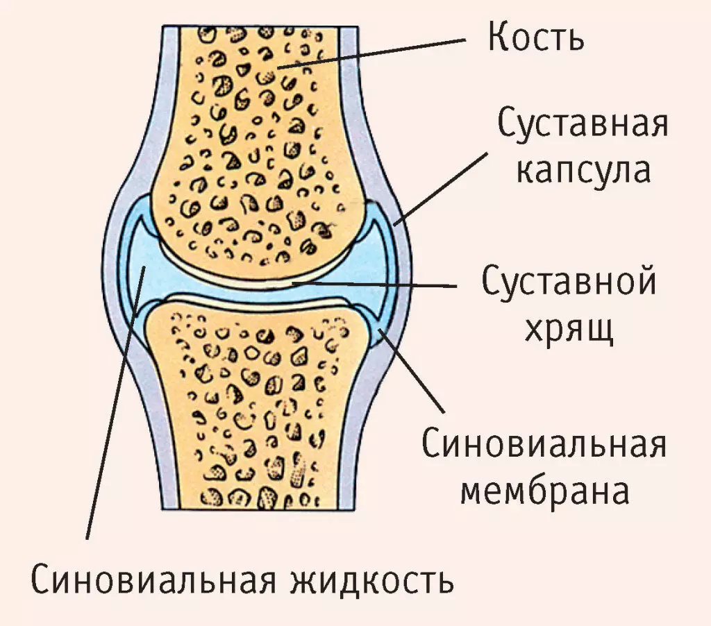 Isithombe esivela ku-inthanethi - inani elivamile le-synovial fluid