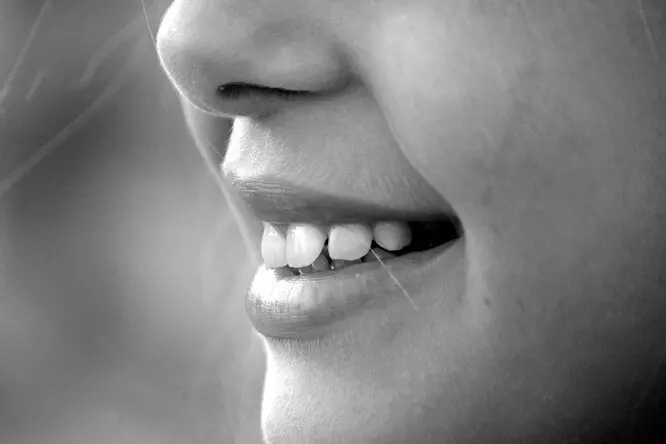 Por que todos os dentes teñen diferentes formas e tamaños?