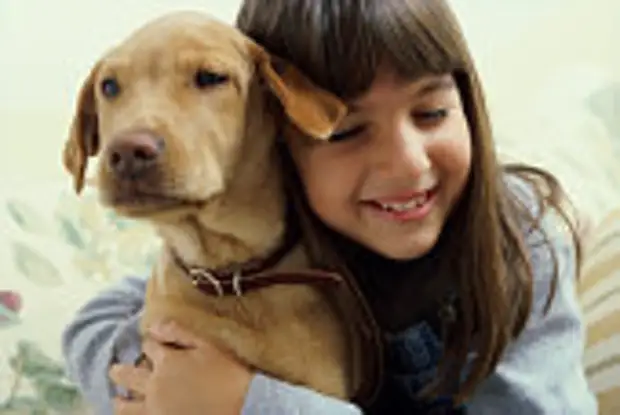 Kontakt med husdyr beskytter barn mot inflammatorisk tarmsykdom