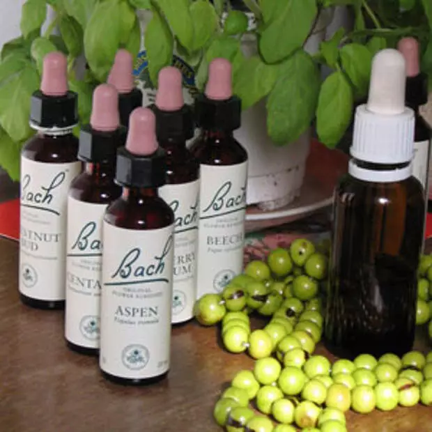 Bachove kapljice - Bachove cvetne esence za zdravljenje zelišč, aromaterapijo