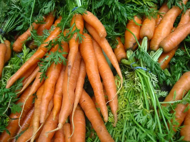 Storja ta 'ħxejjex fuq il-mejda tiegħek