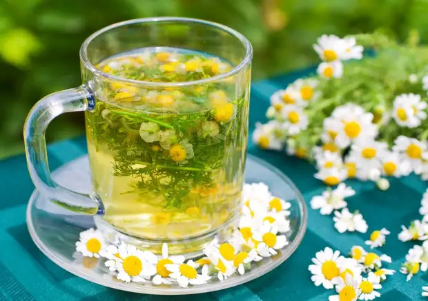 chamomile ሻይ