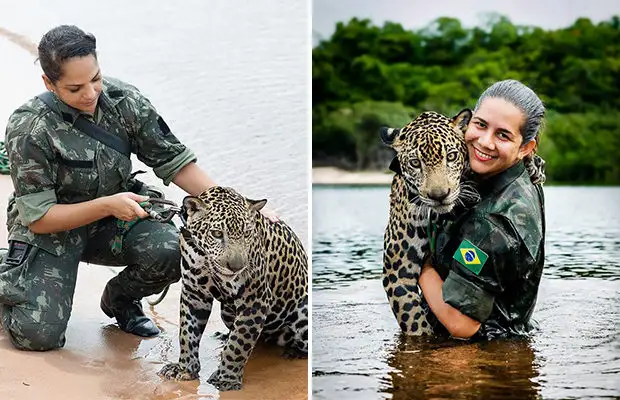 Ang nailigtas na jaguar ay lumaking maamo, tulad ng isang alagang pusa