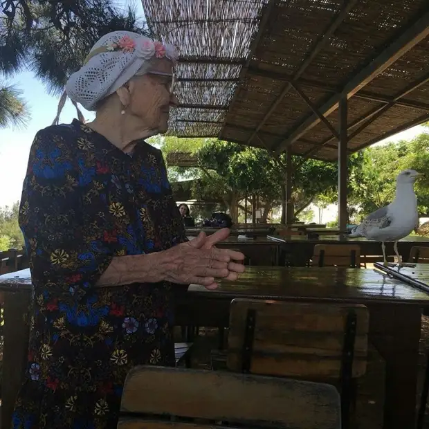 Når alderdom er glede: Hvem er hvor, og bestemor Lena Ershova reiser verden rundt! Lena Ershova, bestemor, i verden, mennesker, pensjonist, pensjon, reise