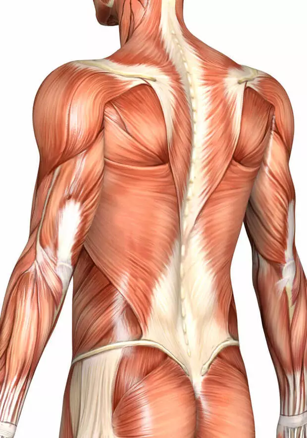 Чому болить спина: 6 можливих причин