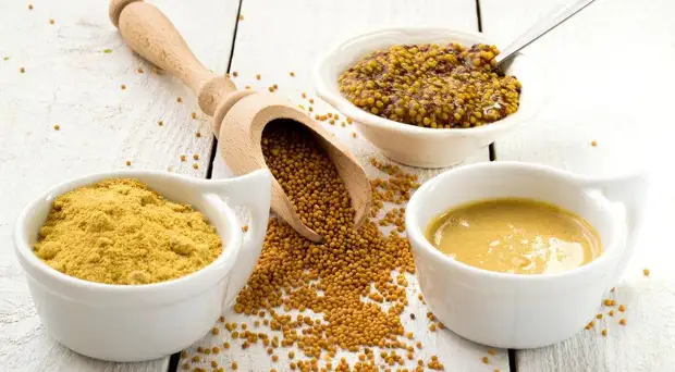 Mga hulagway alang sa panglawas nga mustard grain powder