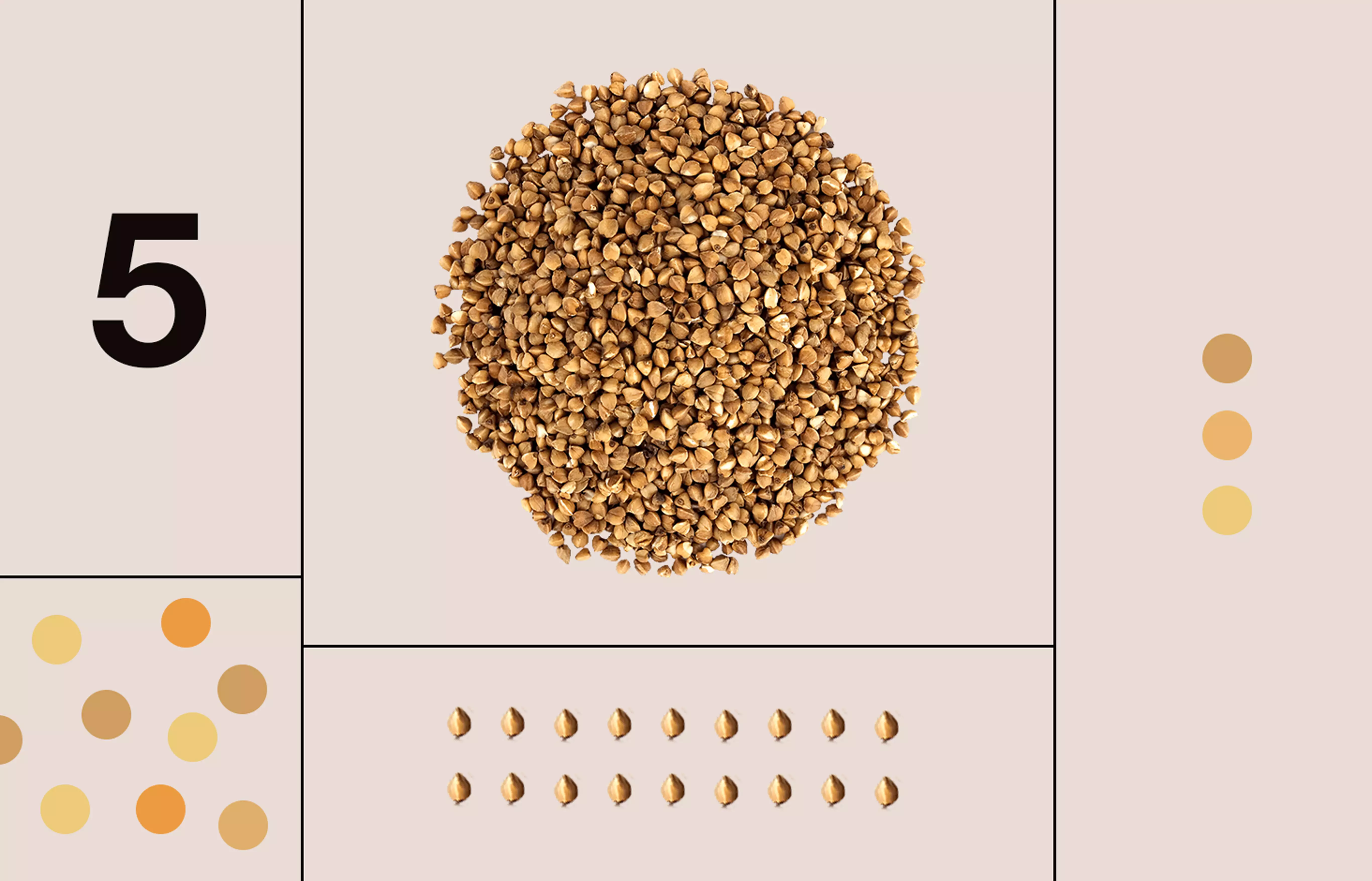 ¿Por qué nuestro cuerpo necesita magnesio y qué alimentos contiene?