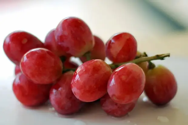 pārtikas produkti, kas ir noderīgi kuņģim un aizkuņģa dziedzerim