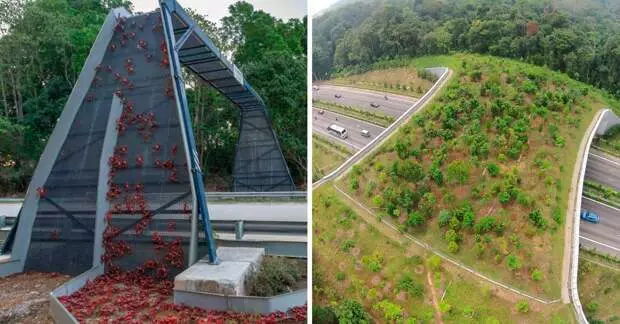 20 sasak anu endah anu nyalametkeun rébuan kahirupan unggal taun