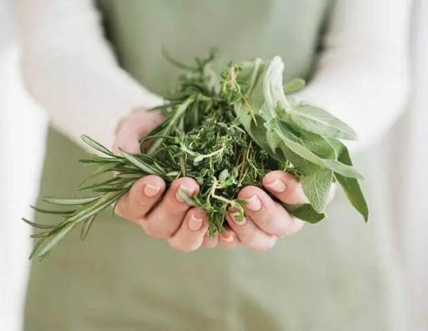 Antecedentes hormonais: as melhores ervas para mulheres
