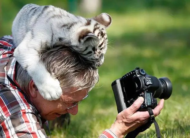 Co zůstává v zákulisí natáčení divoké zvěře