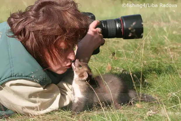 Ce rămâne în culisele filmărilor cu animale sălbatice