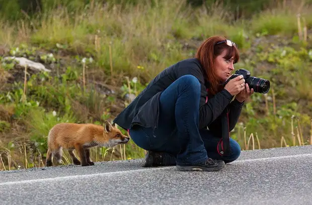 Wildabany dünýäni surata düşürmegiň aňyrsynda galan zatlar