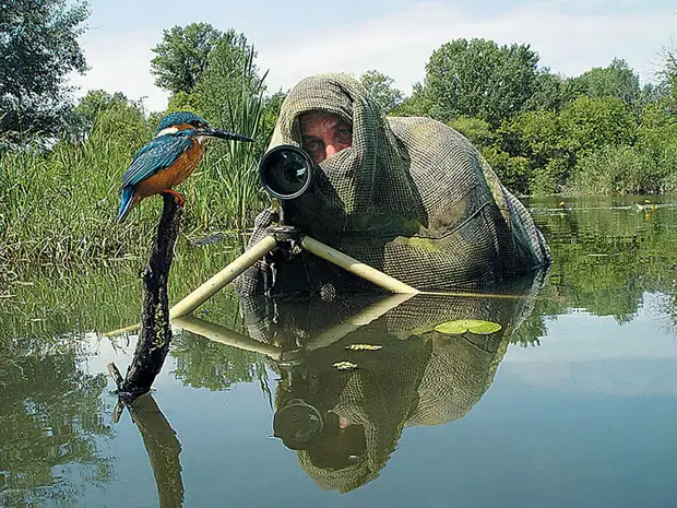 Ce rămâne în culisele filmărilor cu animale sălbatice