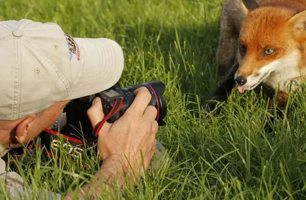 Ce rămâne în culisele filmărilor cu animale sălbatice