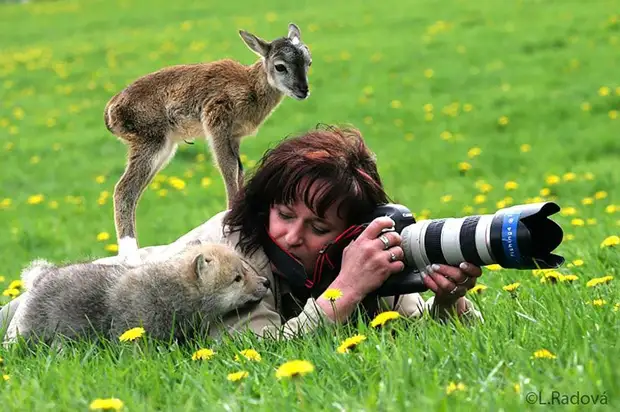 Ce rămâne în culisele filmărilor cu animale sălbatice