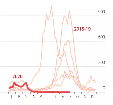 AUSTRALIA: Garis merah tebal adalah kejadian influenza pada tahun 2020. Garis krem ​​- kejadian influenza pada 2015-2019. J-Januari. F-Februari, dll.