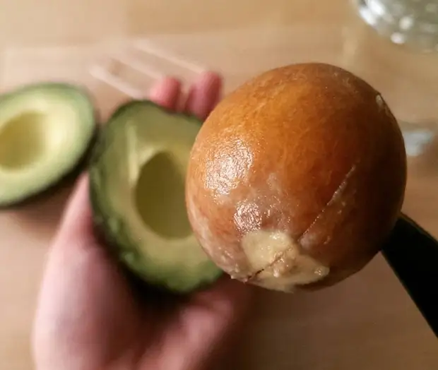 avocado frø