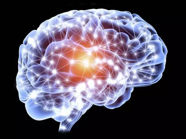 Zinātnieki ir atraduši veidu, kā novērst smadzeņu nāvi