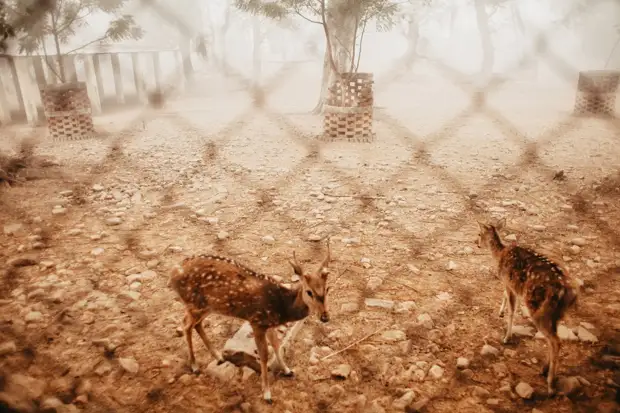 Varanasi_20