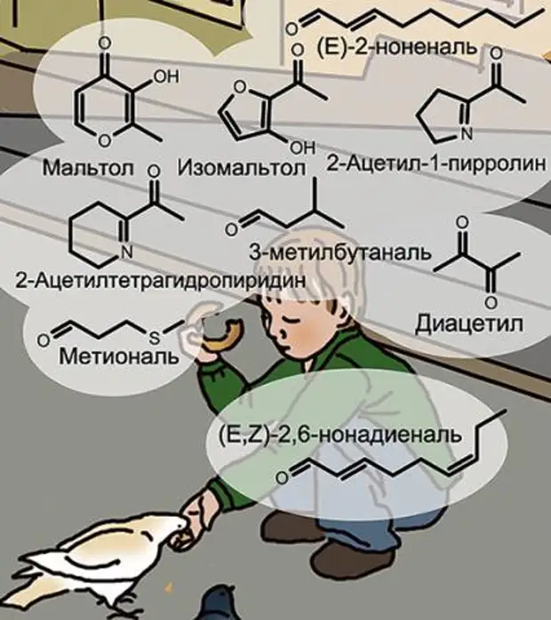 Девет мириса пролећа. Од чега су направљени наши омиљени мириси