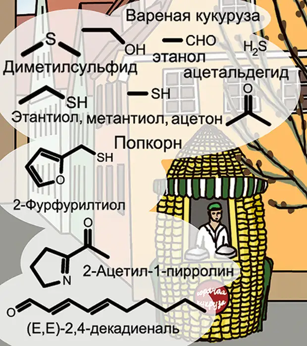 Neh bêhnên biharê. Bêhnên me yên bijare jê têne çêkirin