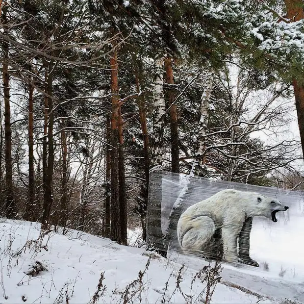 Cellograffiti: onkonventionell Graffiti am Bësch vum Kënschtler Evgeniy Ches