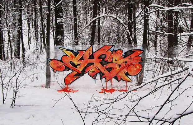 Cellograffiti: ukonventionel graffiti i skoven af ​​kunstneren Evgeniy Ches