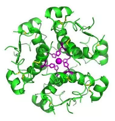 Pamenang Nobel: Frederic Bunting. Penemu insulin