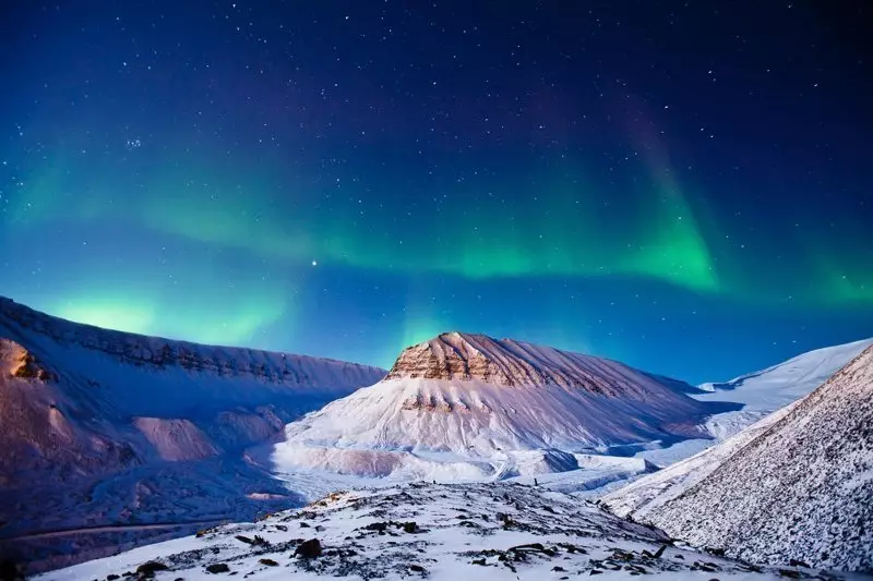 Kesha je jedinou mačkou na nórskom súostroví Svalbard