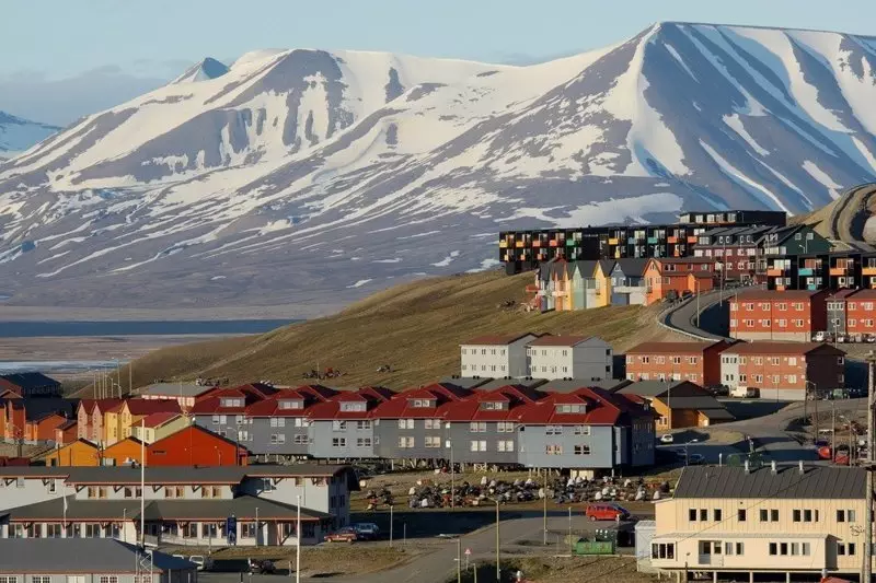 Kesha az egyetlen macska a norvég Svalbard szigetvilágban