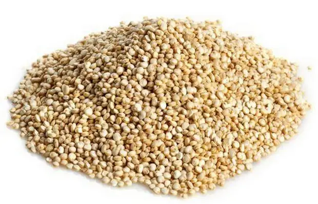 Quinoa: o grão mais saudável do mundo.