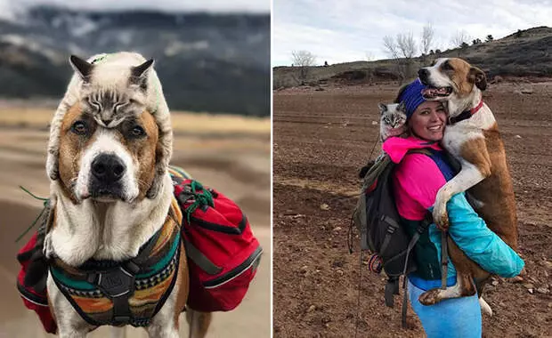 Adorable photos of a dog and a cat who go hiking with their owners