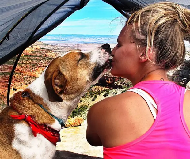 El perro ideal para ir de excursión juntos. Instagram henrythecoloradodog.